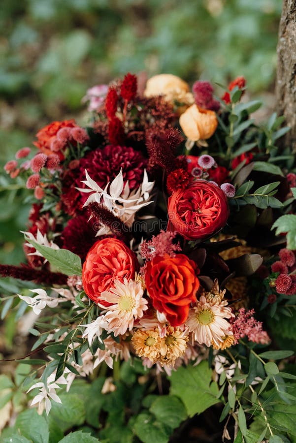 Red Elegant Wedding Bouquet of Fresh Natural Flowers Stock Image ...