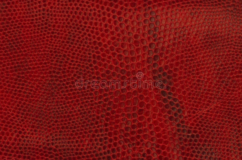 Red Embossed Reptile Skin Texture Stock Image - Image of embossed ...