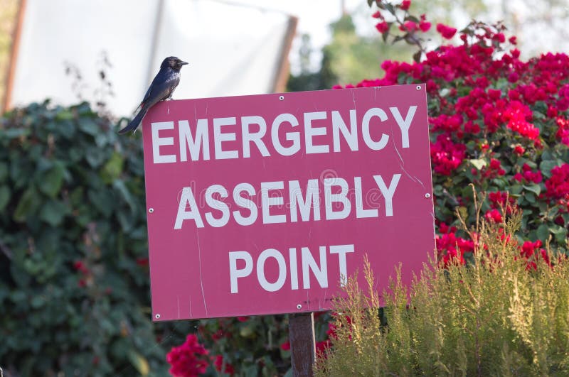 Red Emergency Assembly Point Sign Stock Image - Image of hung, metal ...