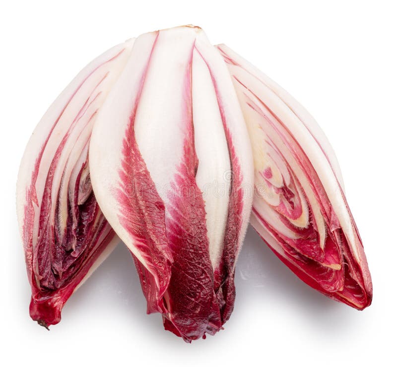 Red Endive White Background File Contains Clipping Path Stock Photos ...