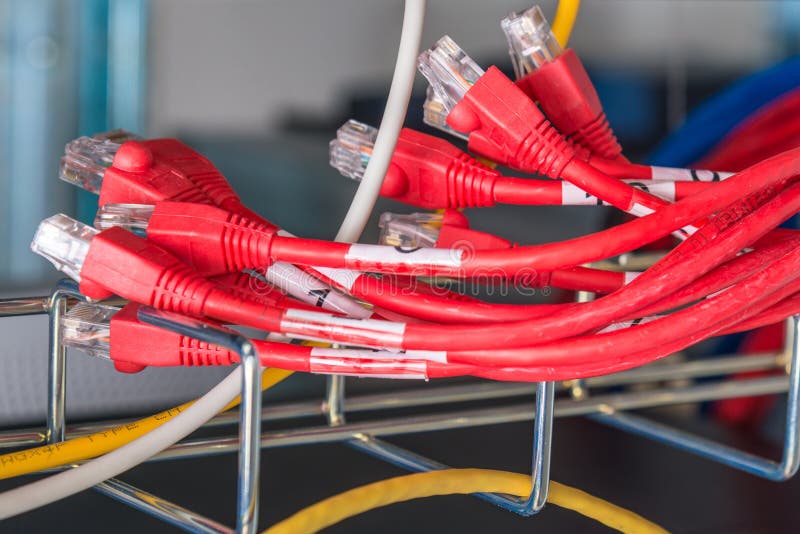 Red Ethernet Cables Connected To Switch Stock Image - Image of plug ...