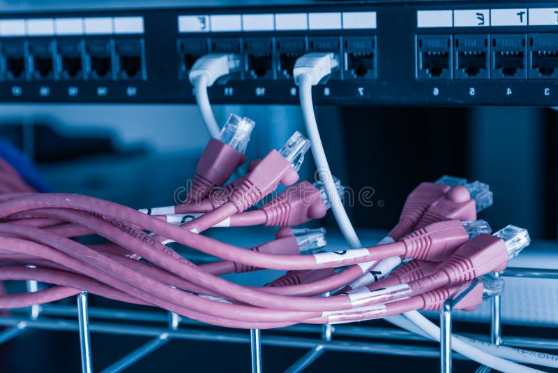 Red Ethernet Cables To Be Connected To Switch Stock Image - Image of ...