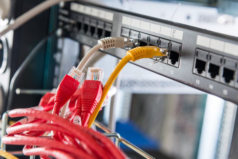 Red Ethernet Cables To Be Connected To Switch Stock Image - Image of ...