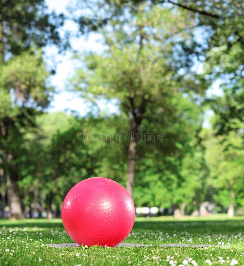 Red Exercise Ball on a Green Grass in a Park Stock Image - Image of ...