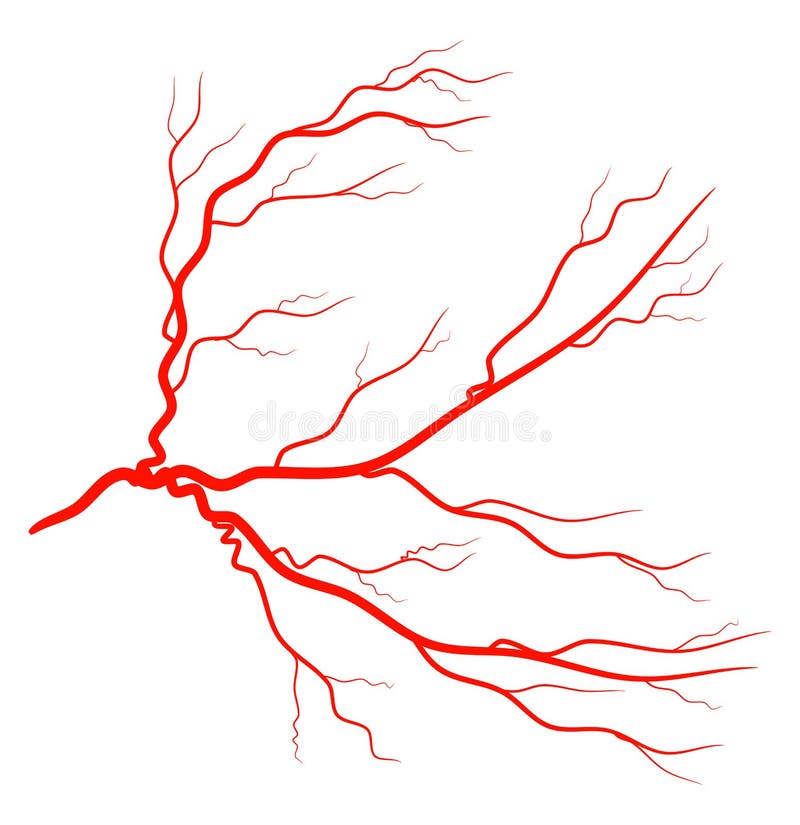 Red Eye Vein Vector Symbol Icon Design. Stock Vector - Illustration of ... Red Eye Vein Vector Symbol Icon Design. Stock Vector - Illustration of ...
