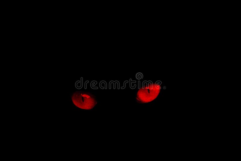 801 Backgroundred Stock Photos - Free & Royalty-Free Stock Photos from ...