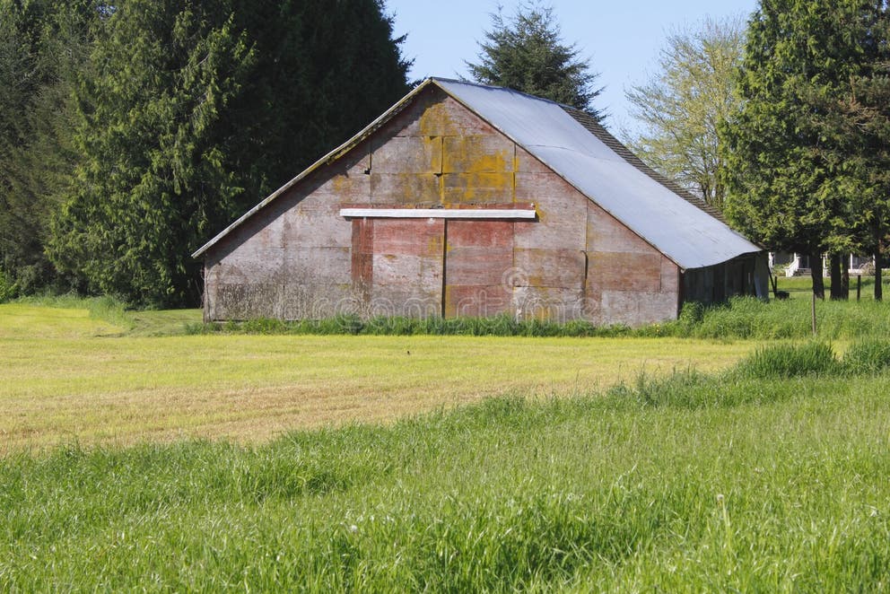 A Red-Faded Barn on a Yellow Field Stock Image - Image of green, roof ...