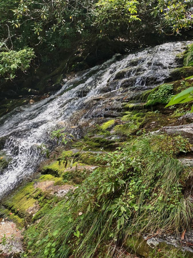 Red Falls in Erwin Tenn, Beautiful Nature Stock Photo - Image of plant ...