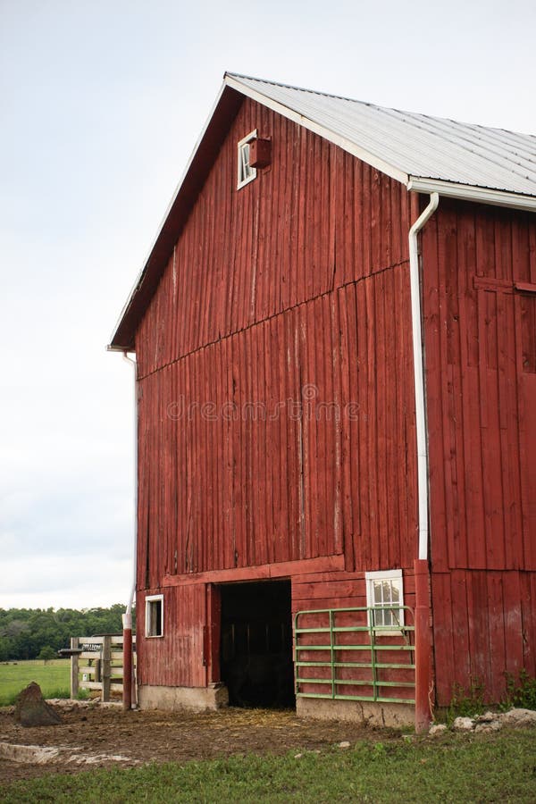 Farm: Old Red Barn with Hay Bales Stock Photo - Image of fall, bale ...