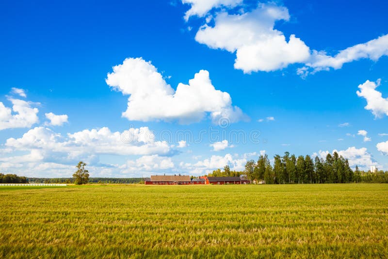 Red farm in rural Finland stock photo. Image of barn - 76085988