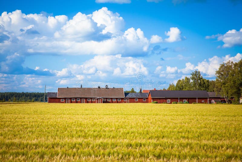 Red farm in rural Finland stock image. Image of nature - 76086271