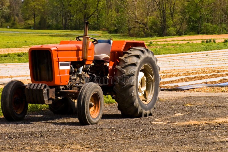 Red farm tractor in field stock image. Image of motorized - 2334595