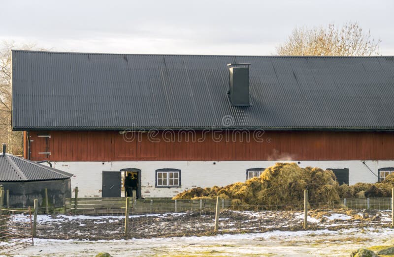 Red farmhouse stock photo. Image of farmhouse, country - 90060816