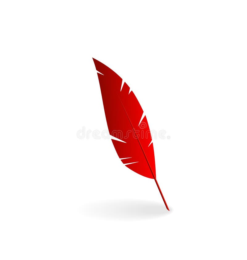 Red Feather on White Background Stock Vector - Illustration of closeup ...