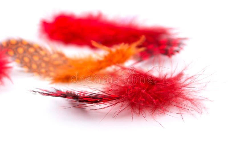 Red Feather Over White Background with Real Shadows Stock Image - Image ...