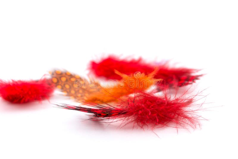 Red Feather Over White Background with Real Shadows Stock Image - Image ...