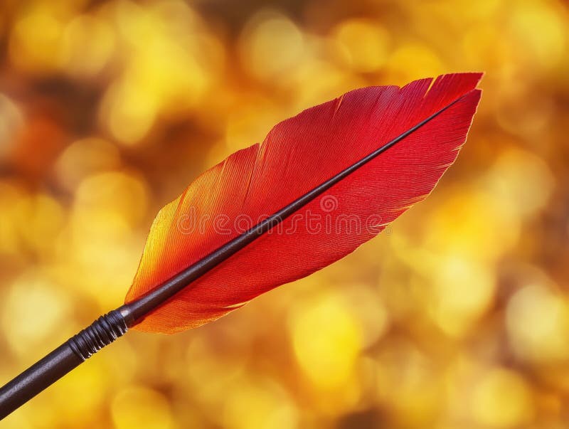 Red Feather on Wooden Stick Stock Image - Image of outdoors, symbolism ...