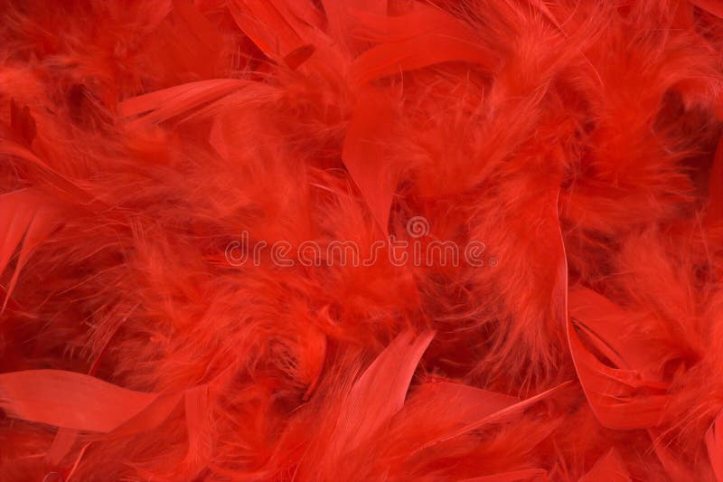 Red Boa Feather Scarf Texture Stock Image - Image of fluffy, couples ...