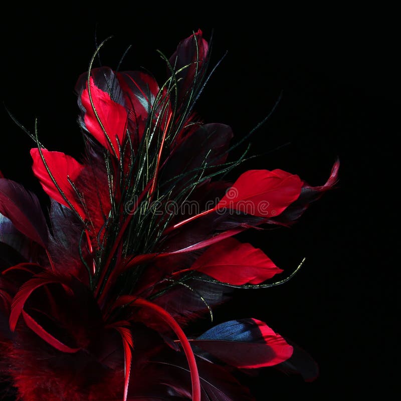 Peacock Red Feathers Stock Images - Download 686 Royalty Free Photos