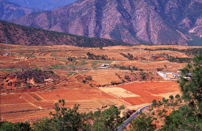 Red field stock image. Image of growth, asian, countryside - 34359401