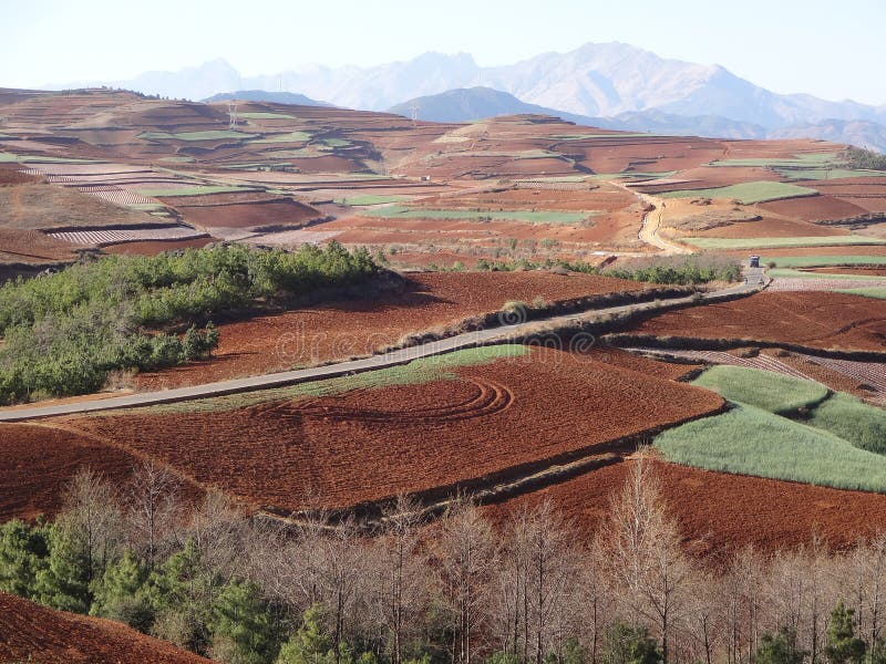 Red field in Yunnan stock photo. Image of beauty, hilly - 40229854