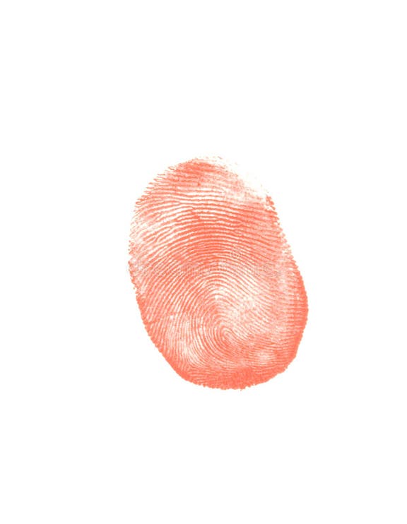 Red finger print stock image. Image of forensics, concentric - 502865