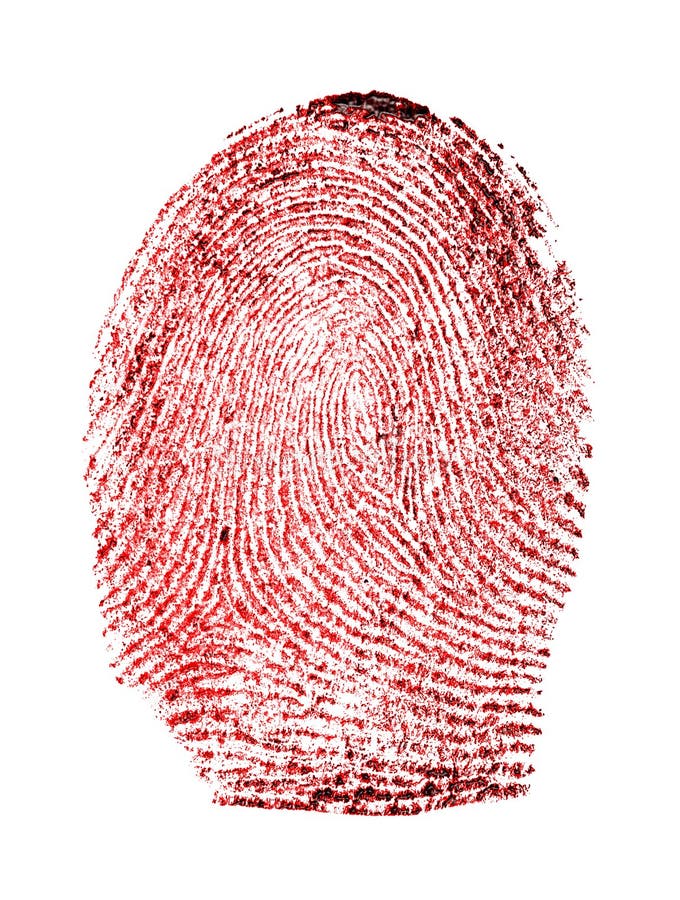 Red Fingerprint On White Paper. Bloody Fingerprint On A White ...