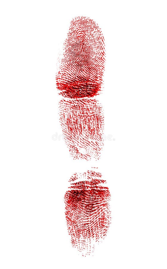 Red Fingerprint On White Paper. Bloody Fingerprint On A White ...