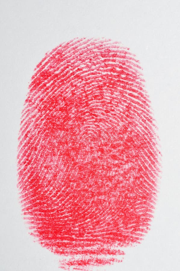 Red Fingerprint On White Paper Stock Photo - Image of identity ...