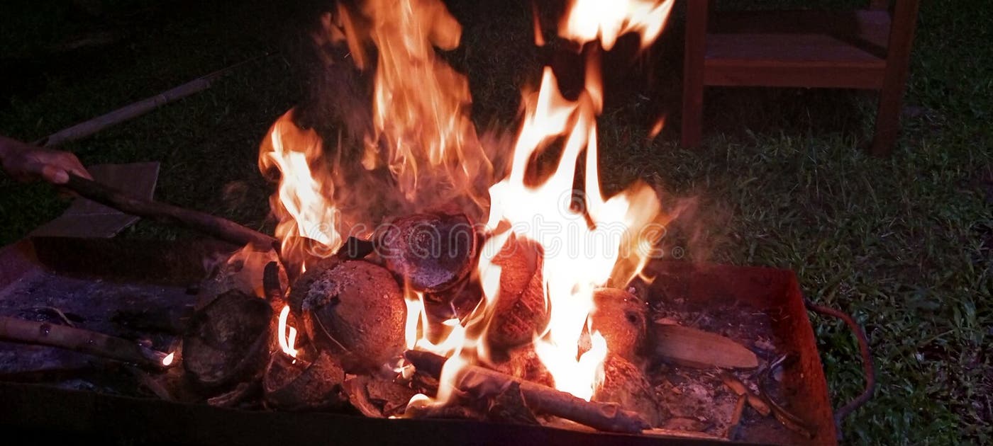 899 Fire Burning Coconut Stock Photos - Free & Royalty-Free Stock ...