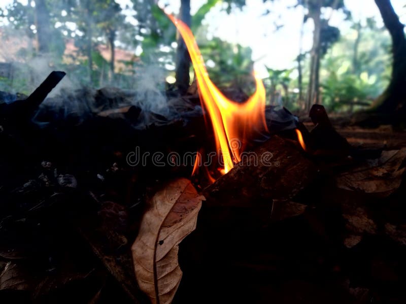 Red fire burns the leaves stock image. Image of burns - 182903569