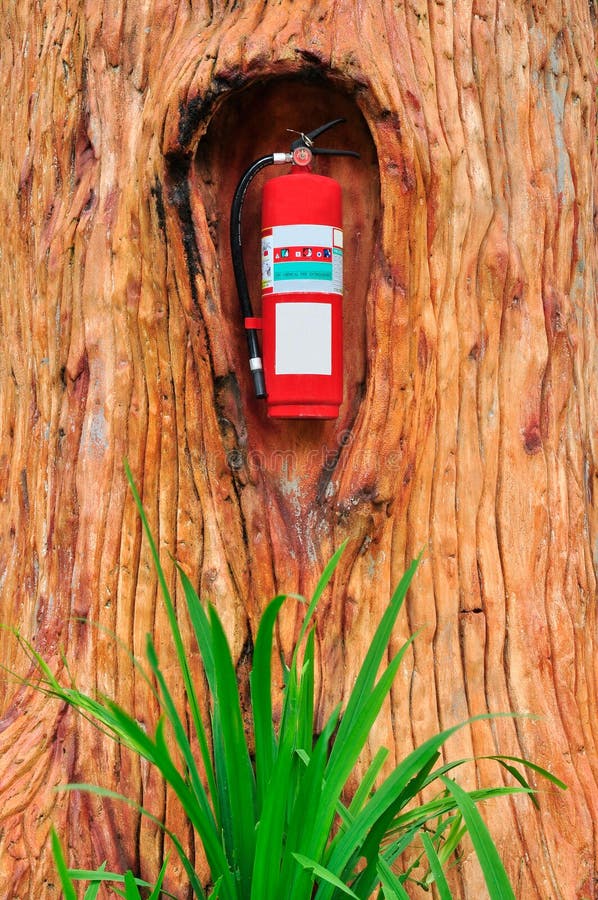Red Fire Extinguisher in the Tree Stock Photo - Image of nozzle ...