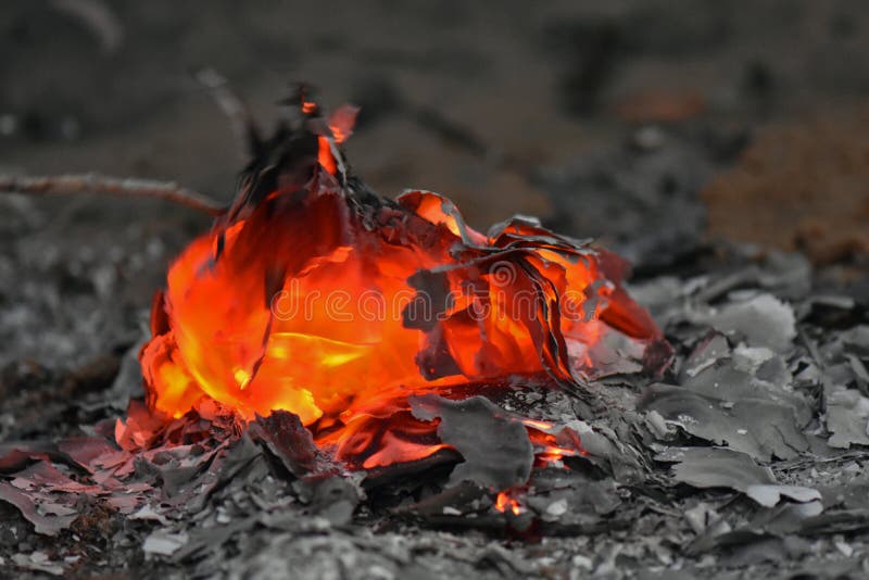 Red Fire Flames in the Evening with Ashes Around Stock Image - Image of ...