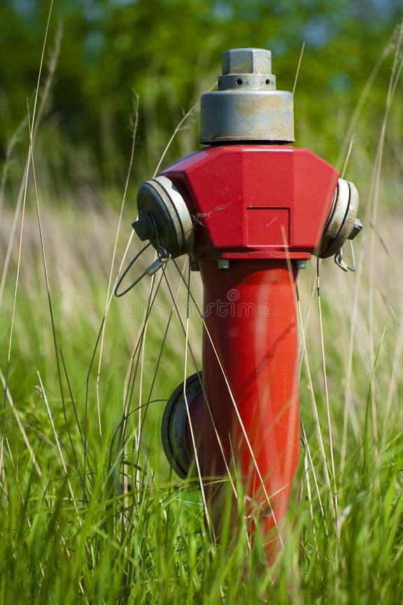Red fire hydran stock photo. Image of grass, stand, green - 14643956