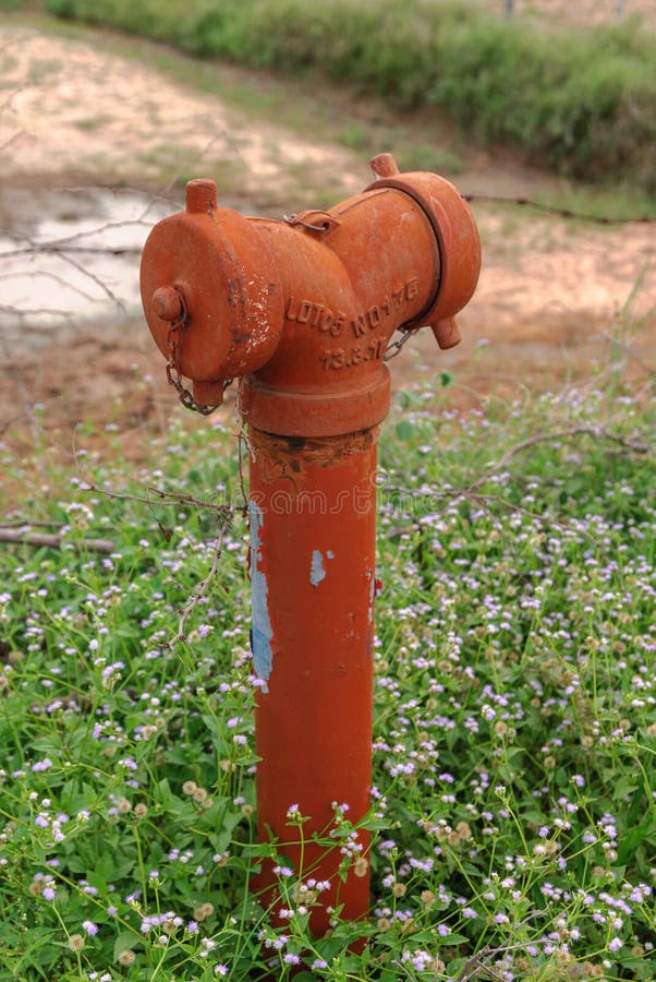 A Red Fire Hydrant Against A Green Lawn Picture. Image: 25512126