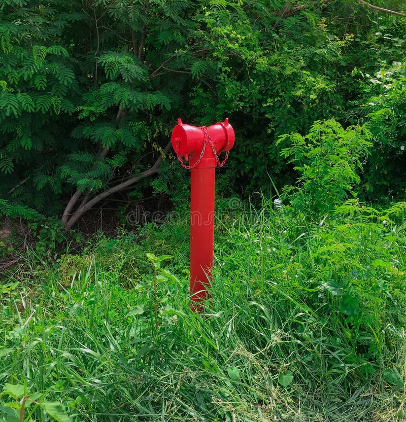 Red Fire Hydrant. stock image. Image of green, grass - 74555671
