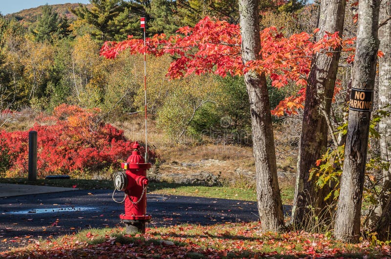 510 Autumn Fire Safety Stock Photos - Free & Royalty-Free Stock Photos ...