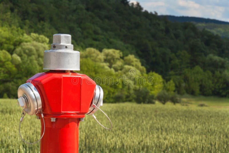 Red Fire Hydrant at the Edge of a Green Field. Stock Photo - Image of ...