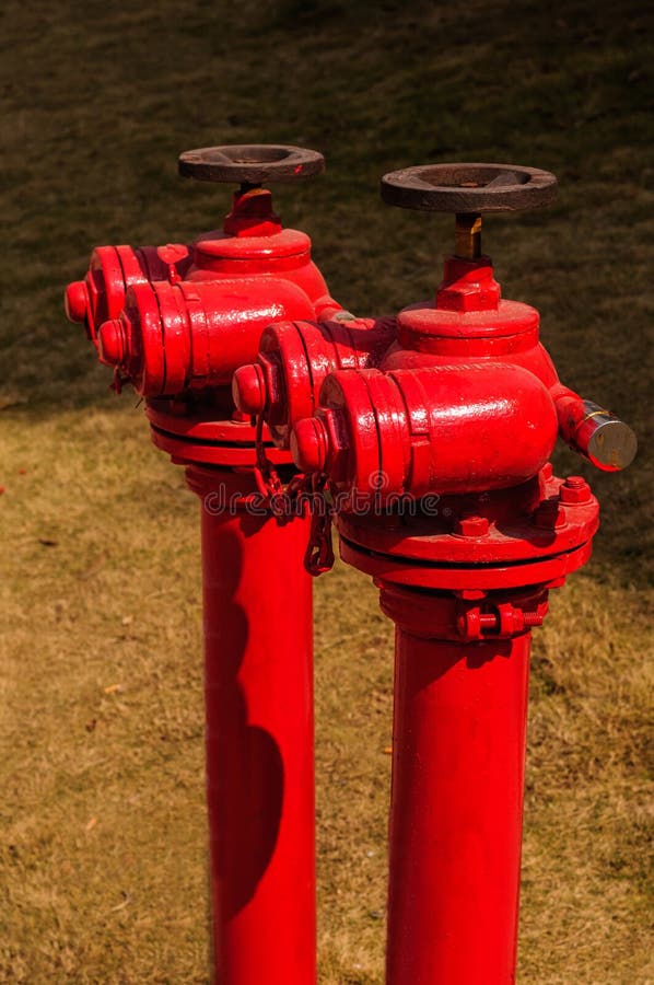 Red Fire Hydrant On Green Grass Field Picture. Image: 82946048