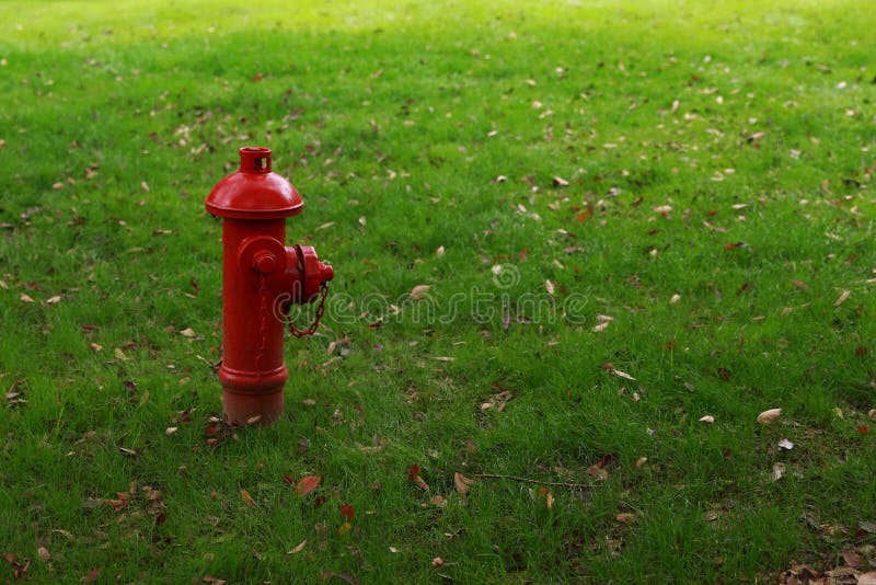 Red Fire Hydrant on the Green Grass Background Stock Photo - Image of ...