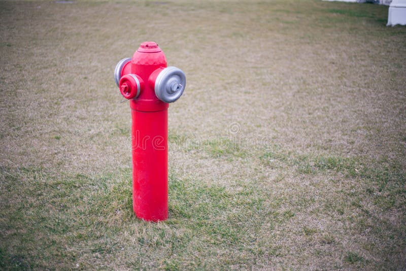 Red Fire Hydrant on a Green Lawn Stock Photo - Image of fire, water ...