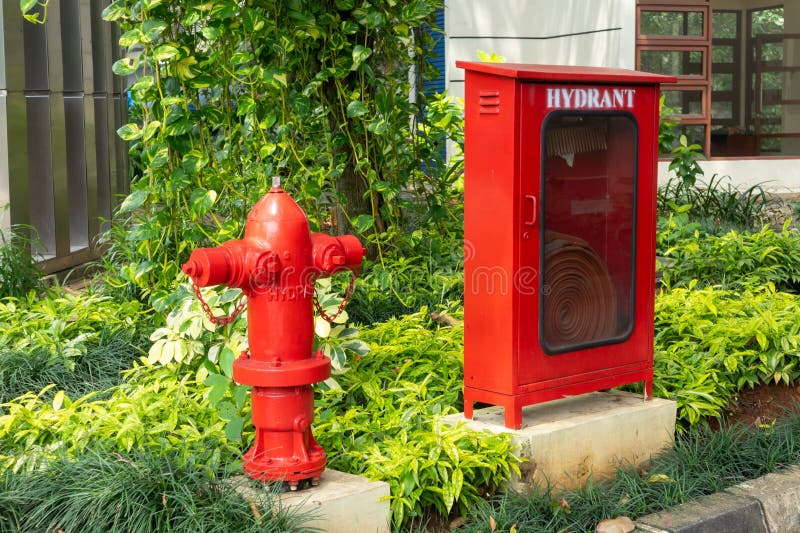 Red Fire Hydrant and Hydrant Hose Box in the Park. Outdoor Stock Image ...