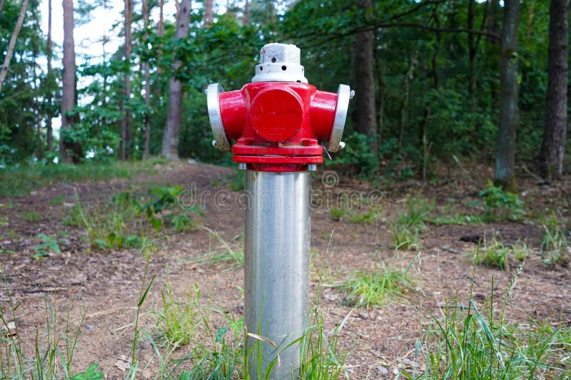 Red Fire Hydrant in the Park Stock Photo - Image of water, backyard ...