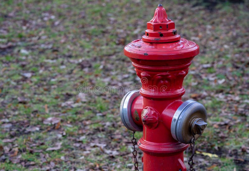 Red fire hydrant in a park stock image. Image of grass - 266816753