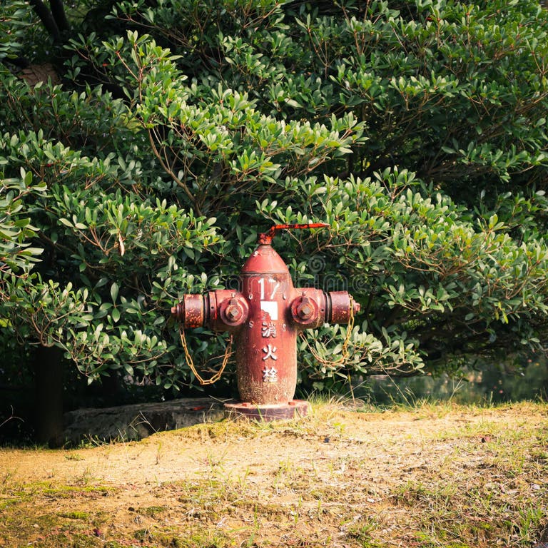 Red Fire Hydrant in the Park with Trees in the Background Stock Photo ...