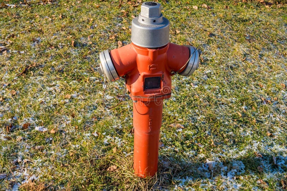 Fire Hydrant Surrounded by Green Grass. Red Fire Hydrant on the Side of ...