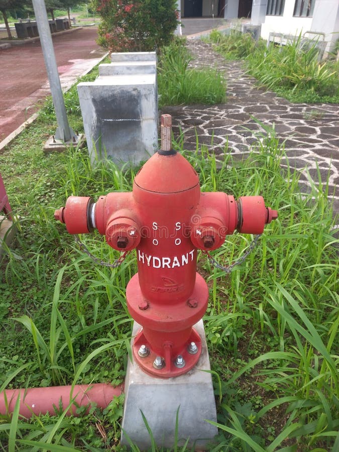A Red Fire Hydrant on the Side of a Road Stands in a Grassy Area. Stock ...