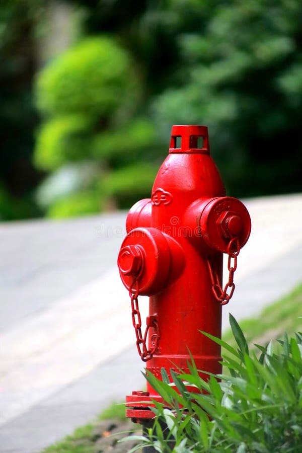 Red Fire Hydrant on Sidewalk with Green Foliage. Stock Image - Image of ...
