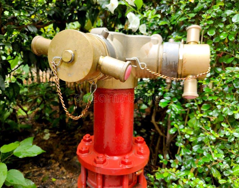 Red Fire Hydrant Sits in Front of an Garden Stock Photo - Image of ...