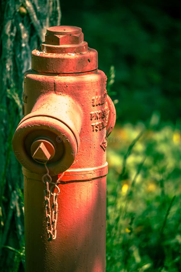 Red Fire Hydrant Standing in Park Closeup. Fire Safety Concept Turkiye ...